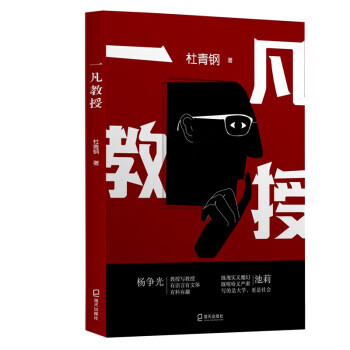 书籍 一凡教授 杜青钢著 海天出版社