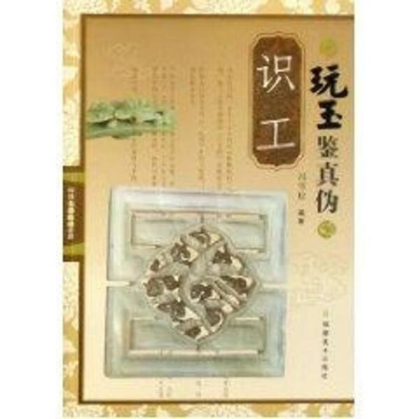 识工 冯雪松 9787539319483