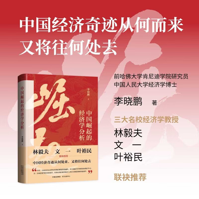 包邮【林毅夫推荐】中国崛起的经济学分析 李晓鹏 著 经济 中信书店