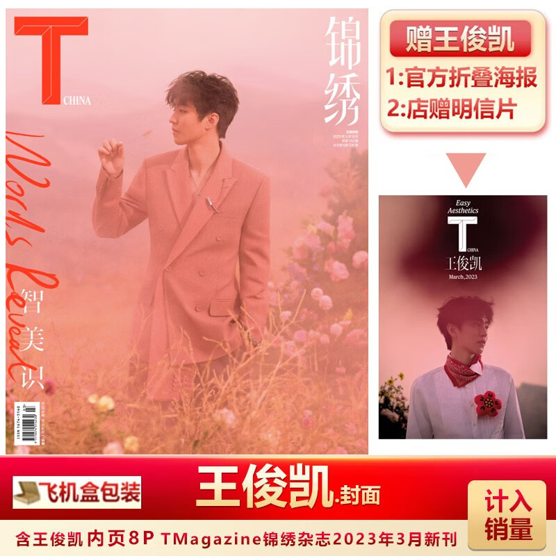 现货 T锦绣3月 王俊凯封面+赠官方海报+店赠明信片+飞机盒 计入销量 T锦绣风尚志/世界时装之苑ELLE/杂志2023年3月/三月号 王俊凯期刊 T锦绣3月王俊凯封面+赠官方海报+店赠明信片