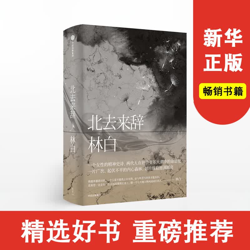北去来辞 林白 著 中信出版社图书 书籍