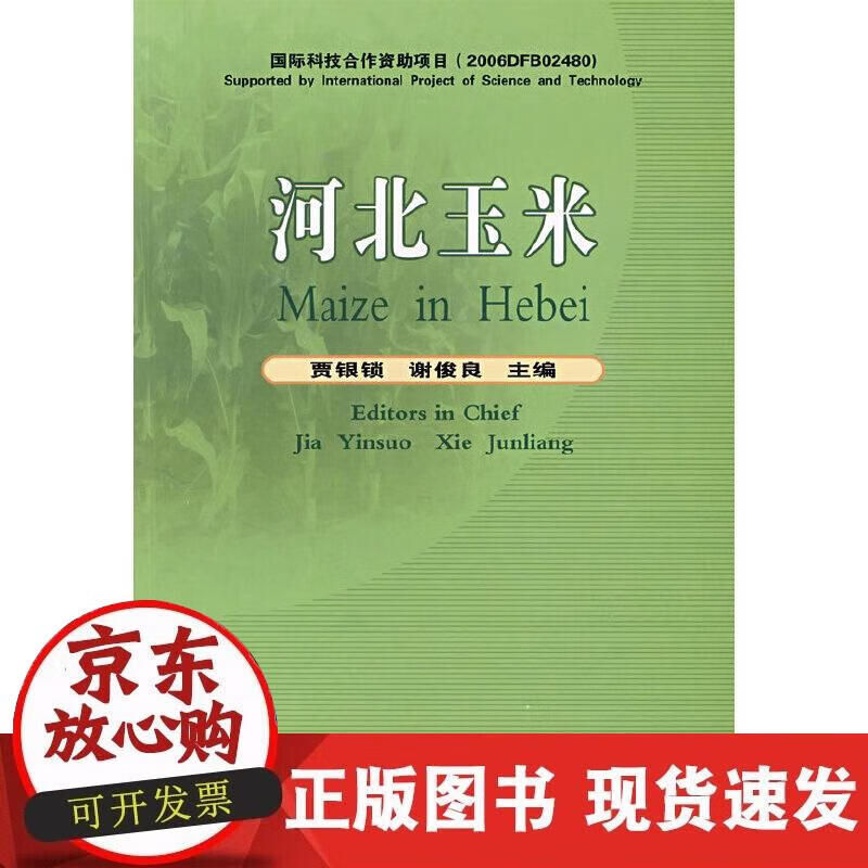 【现货】河北玉米