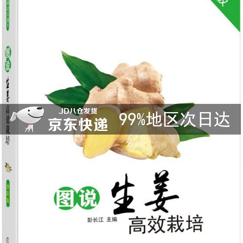 图说生姜高效栽培（全彩版）