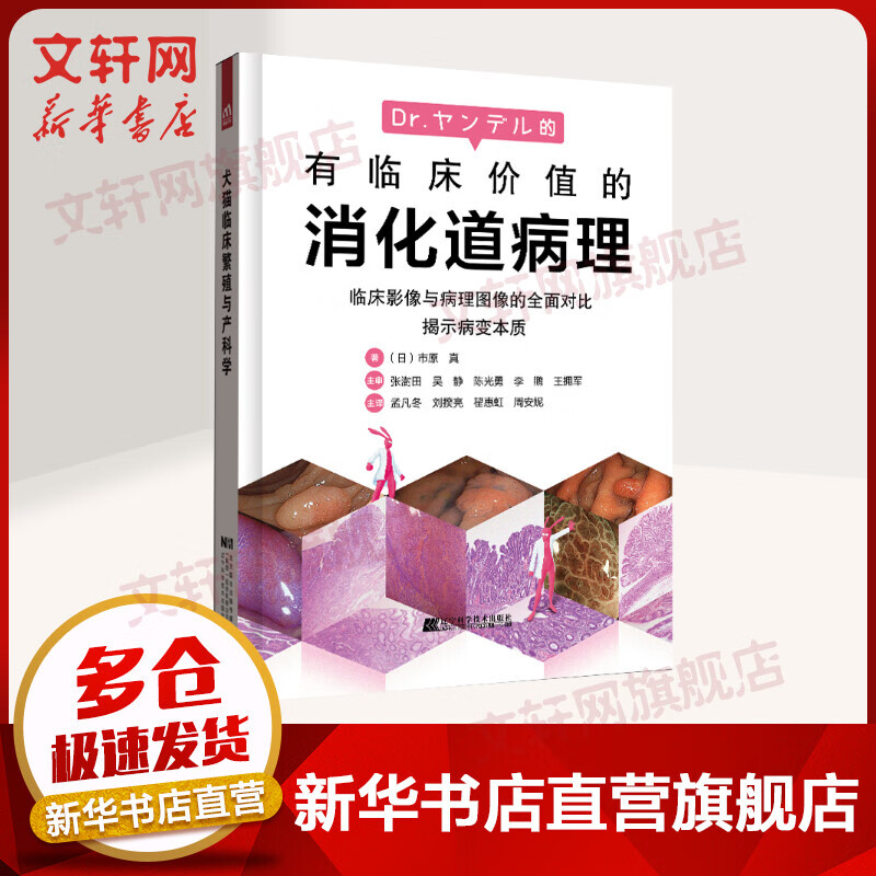 有临床价值的消化道病理 临床影像与病理图像的全面对比揭示病变本质孟凡冬等主译辽宁科学技术出版社9787559124616 图书