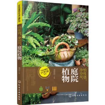 植物庭院净空气怡性情