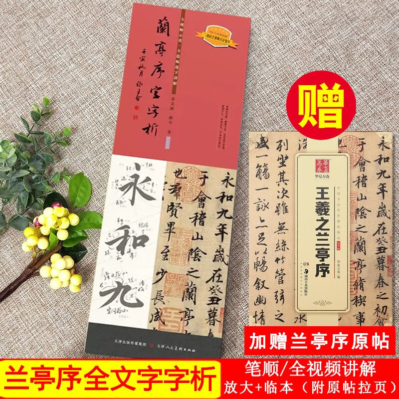 兰亭序字字析 黄文新著 全视频讲解教学（店铺加赠兰亭序三种原帖） 原碑临摹单字教程324字视频解析 运笔笔顺章法结构近距离临摹字帖 王羲之兰亭序毛笔行书书法入门练字帖 天津人民美术出版社