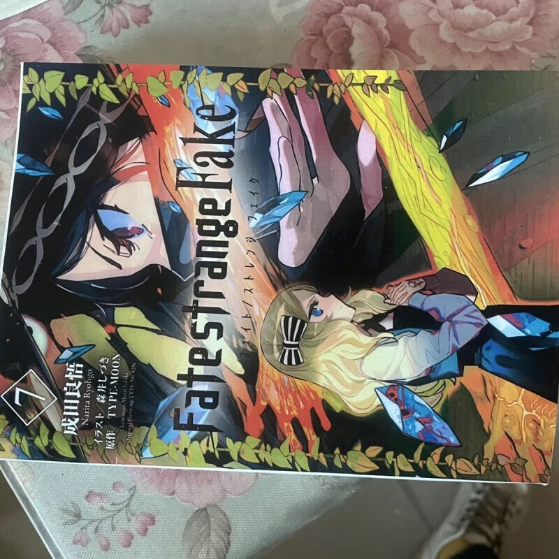 轻小说册/Fate Strange Fake 奇异赝品 1-4