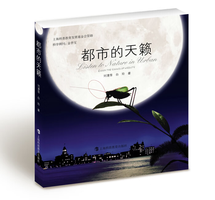 都市的天籁 刘漫萍,白玲著
