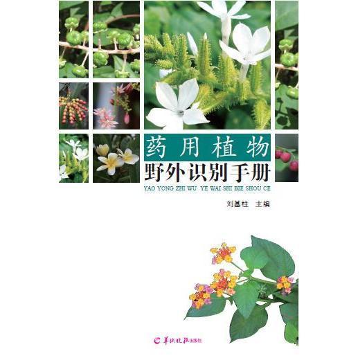 药用植物野外识别手册 刘基柱