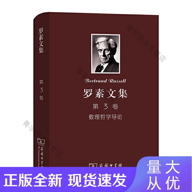 n罗素文集 第3卷：数理哲学导论