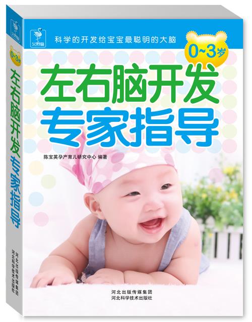 0～3岁左右脑开发专家指导