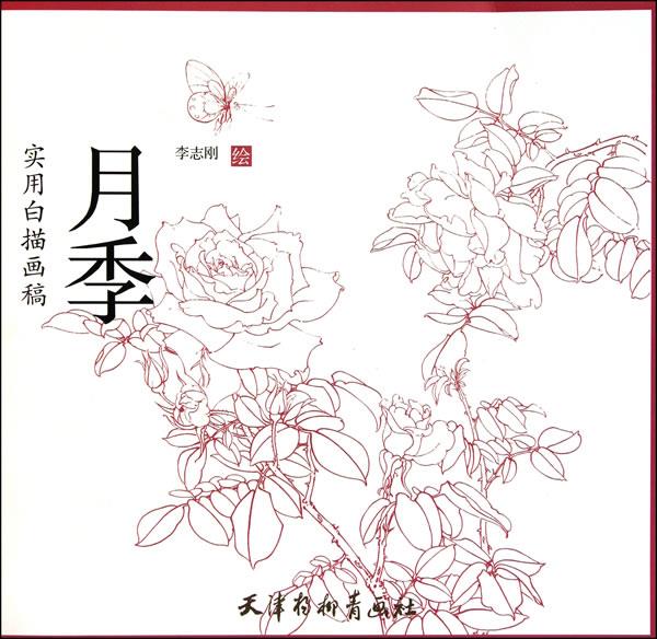 实用白描画稿 月季