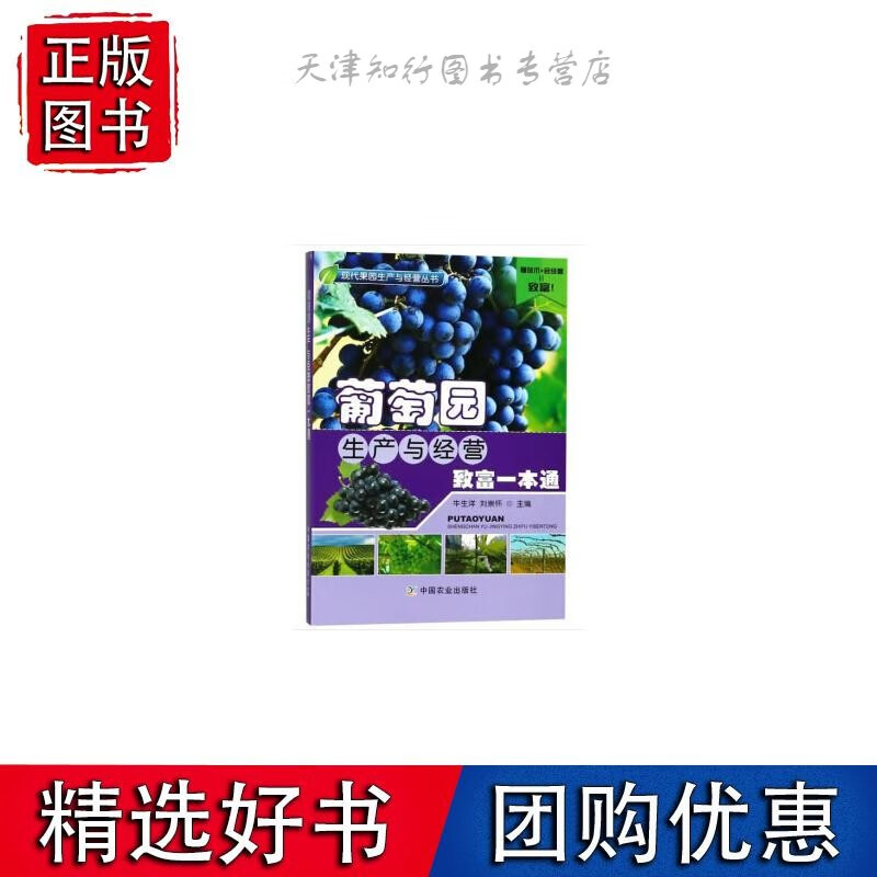 葡萄园生产与经营致富一本通