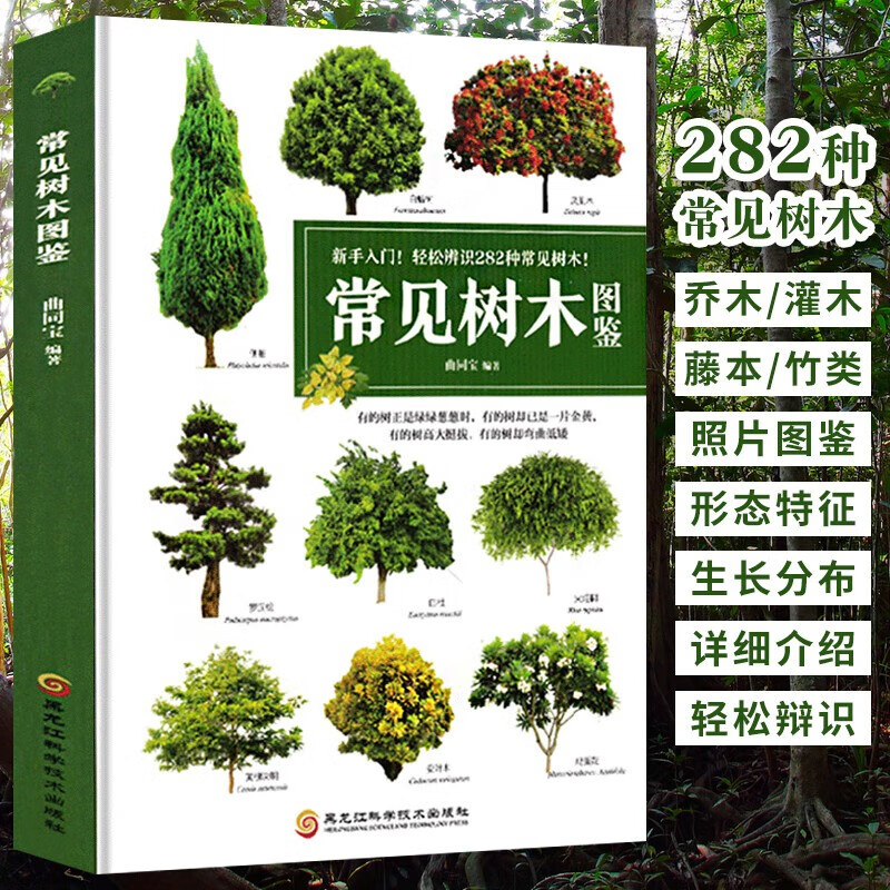 新手入门轻松辨识常见树木图鉴 大自然植物乔木灌木盆栽盆景园林绿化树木鉴赏识别书籍学生自然百科普全书中国花草树木图鉴大全