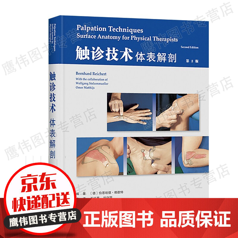 触诊技术：体表解剖