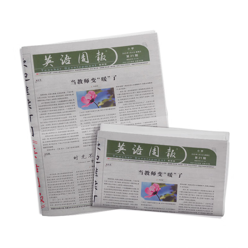 英语周报小学教师版 2023年10月起订 全年订阅40期 杂志铺 教师刊物 小学老师教学辅导资料期刊