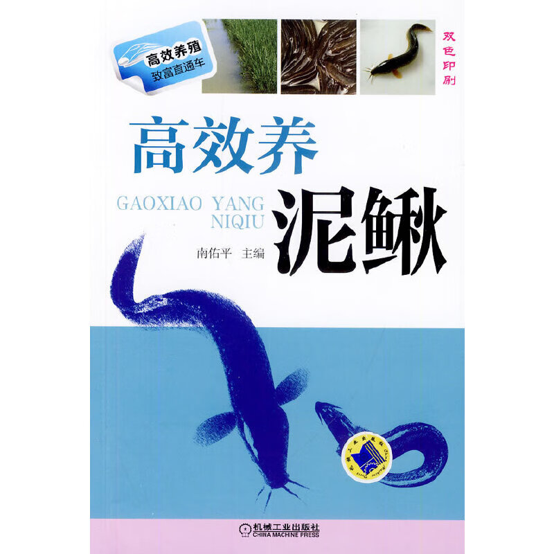 高效养泥鳅（高效养殖致富直通车）