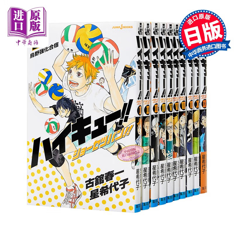 排球少年 小说 1-10 十册套装 日文原版 ハイキュー ショーセツバン 1-10