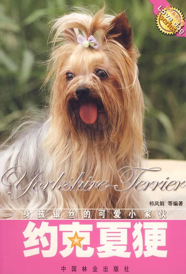 约克夏《犭更》 祁凤娟【好书，下单速发】