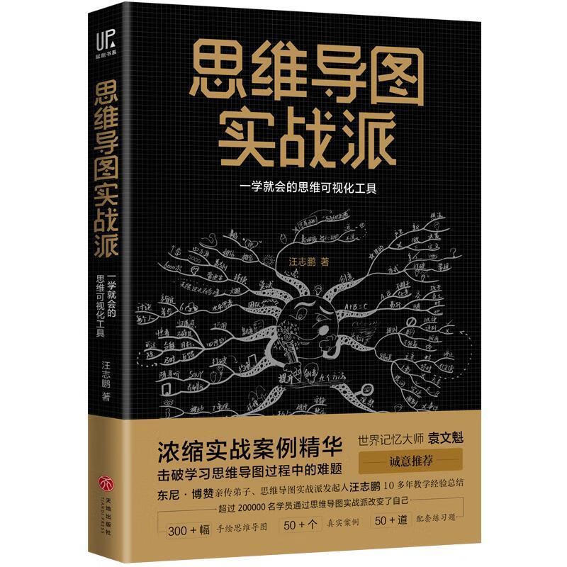 思维导图实战派 汪志鹏 著 天地出版社
