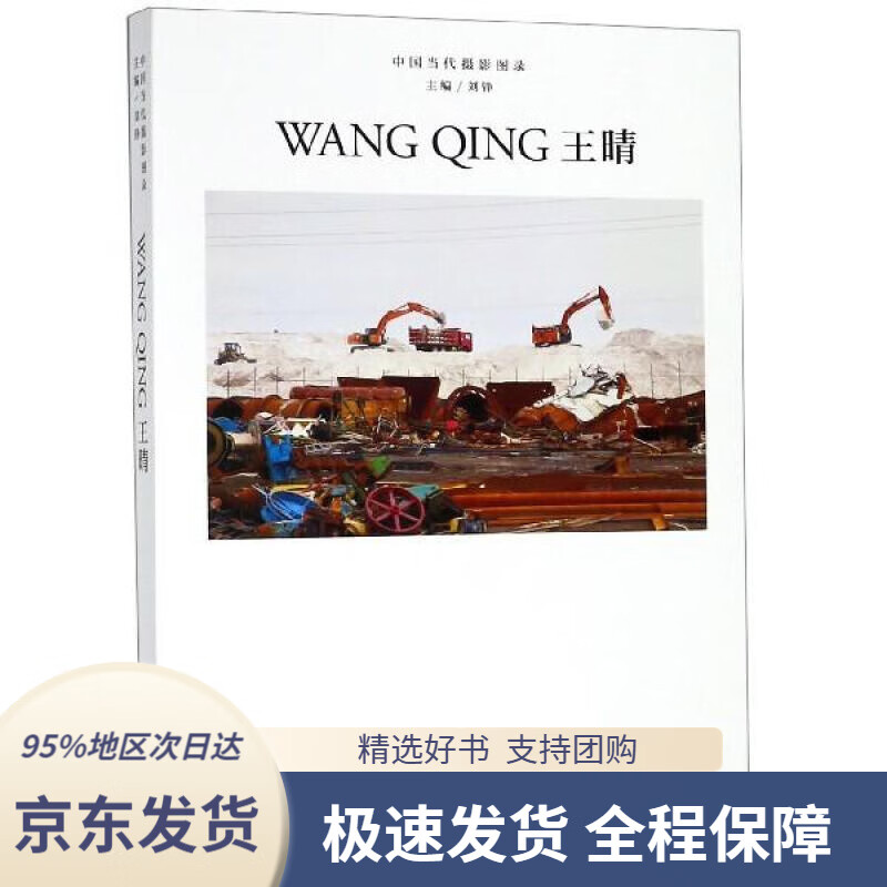 【 京东配送 支持团购】王晴中国当代摄影图录刘铮浙江摄影出版社9787551425438