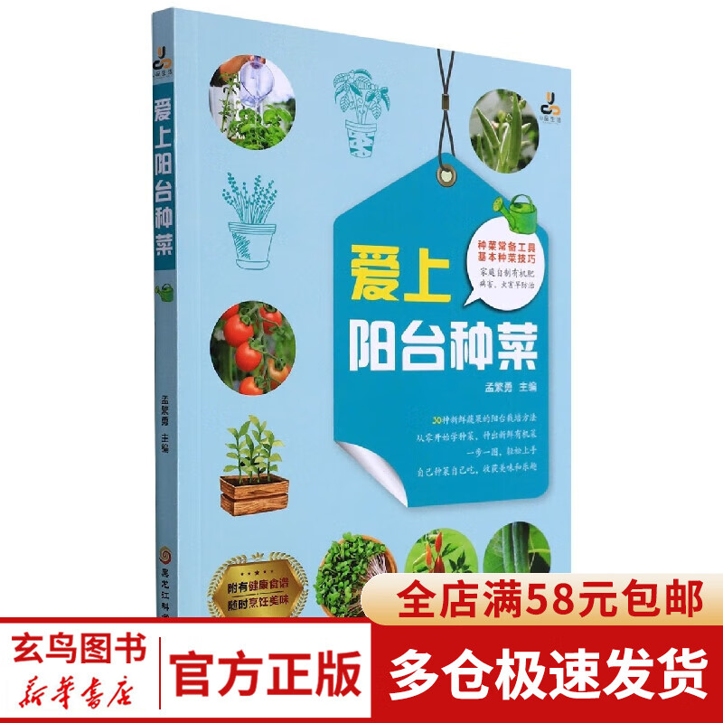 爱上阳台种菜