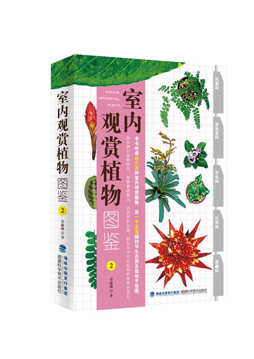 室内观赏植物图鉴②