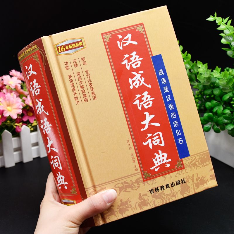 四万条成语词典大全初中生小学生中华成语辞海高中生大学实用 汉语成语大词典【收词17000条】