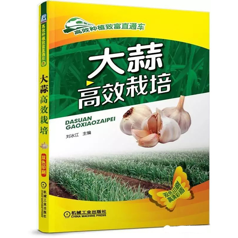 大蒜高效栽培 刘冰江主编