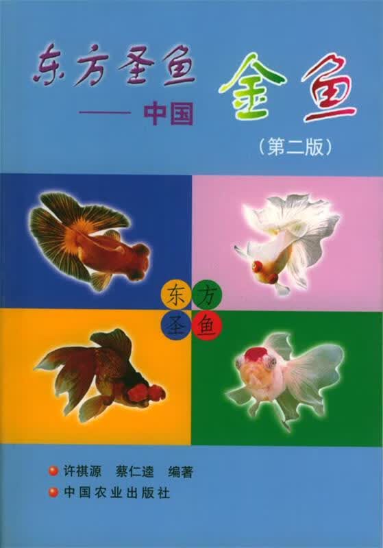 东方圣鱼:中国金鱼【，放心购买】