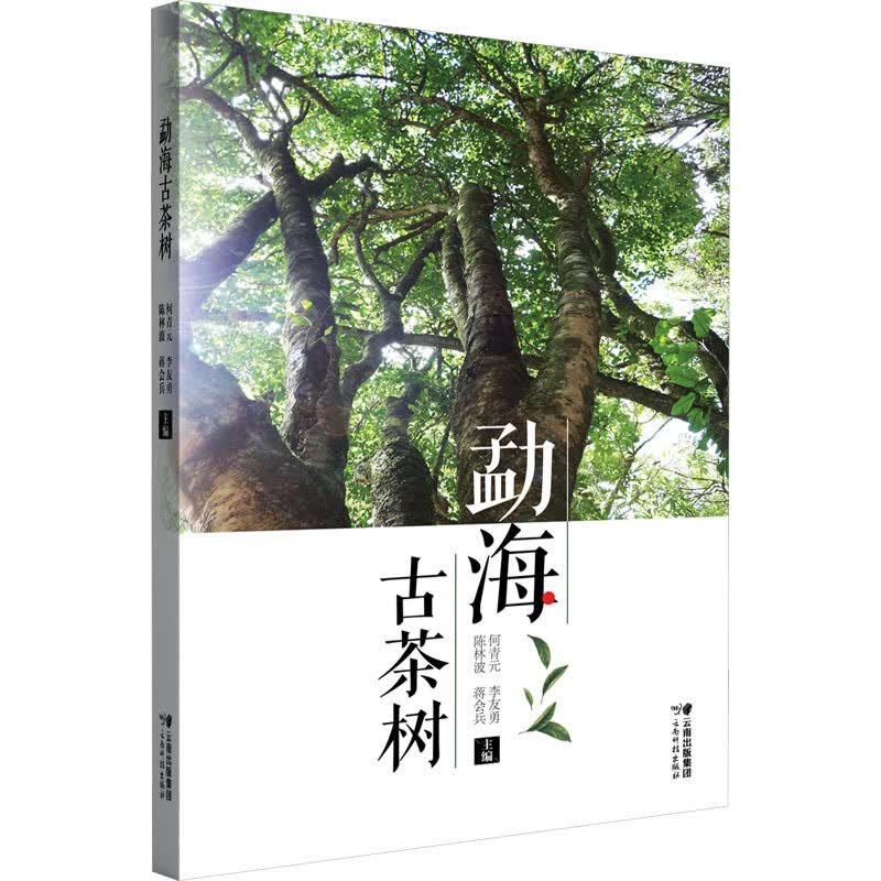 勐海古茶树 图书
