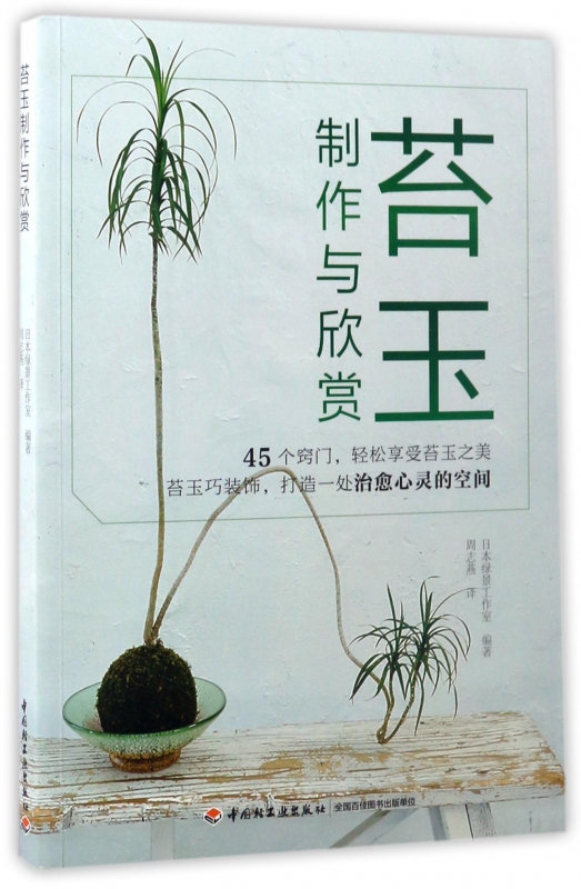 苔玉制作与欣赏