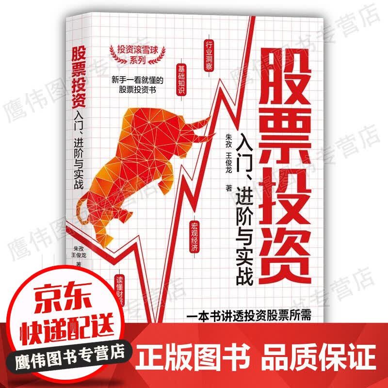 股票投资入门、进阶与实战（投资滚雪球系列）