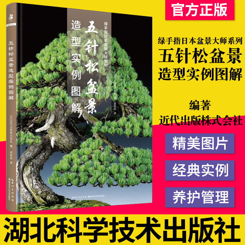 书籍 五针松盆景造型实例图解 日本盆景大师系列 观赏园艺图解彩图版盆景制作大全盆景造型赏析制作