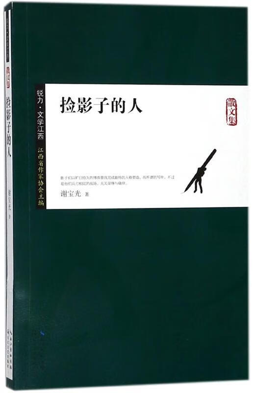 捡影子的人 谢宝光 著