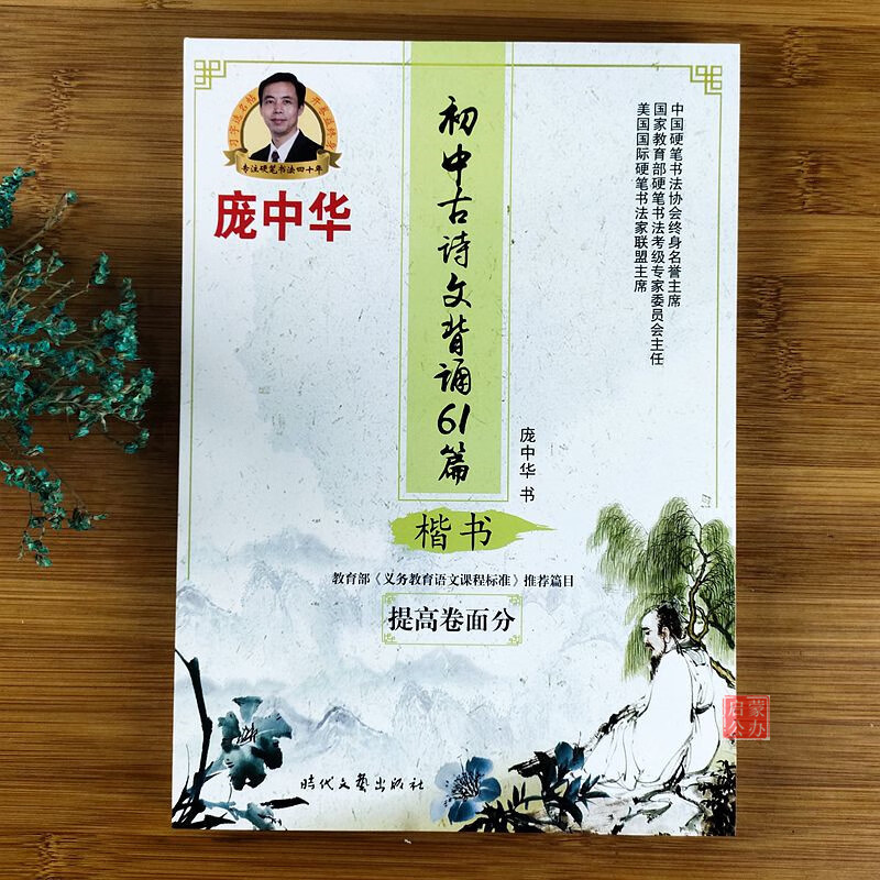 初中生字帖庞中华楷书字帖中学生必背古诗文中考古诗文背诵61篇钢笔正楷字帖789年级古诗词文硬笔书法练字 初中生古诗文背诵61篇 楷书