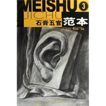 石膏五官范本 张义仁,陈华新