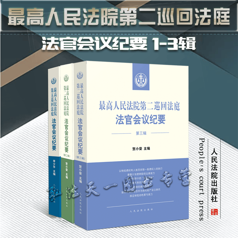 3本套装 最高人民法院第二巡回法庭法官会议纪要（第三辑）+第二巡回法庭法官会议纪要（第二辑）+第五巡回法庭法官会议纪要 贺小荣 李少平 主编 人民法院出版社