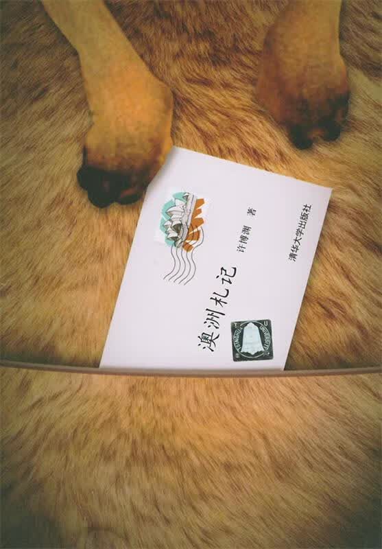 澳洲札记 许博渊 著【书】