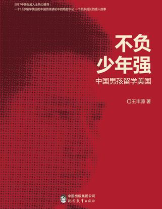 不负少年强 王丰源【书】