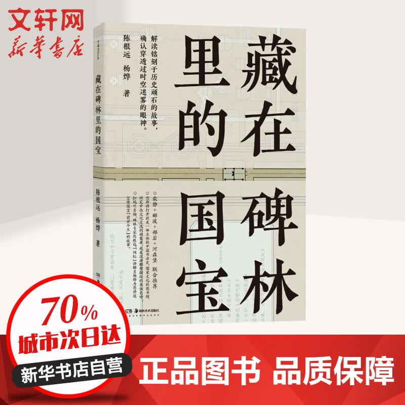 藏在碑林里的国宝 湖南美术出版社