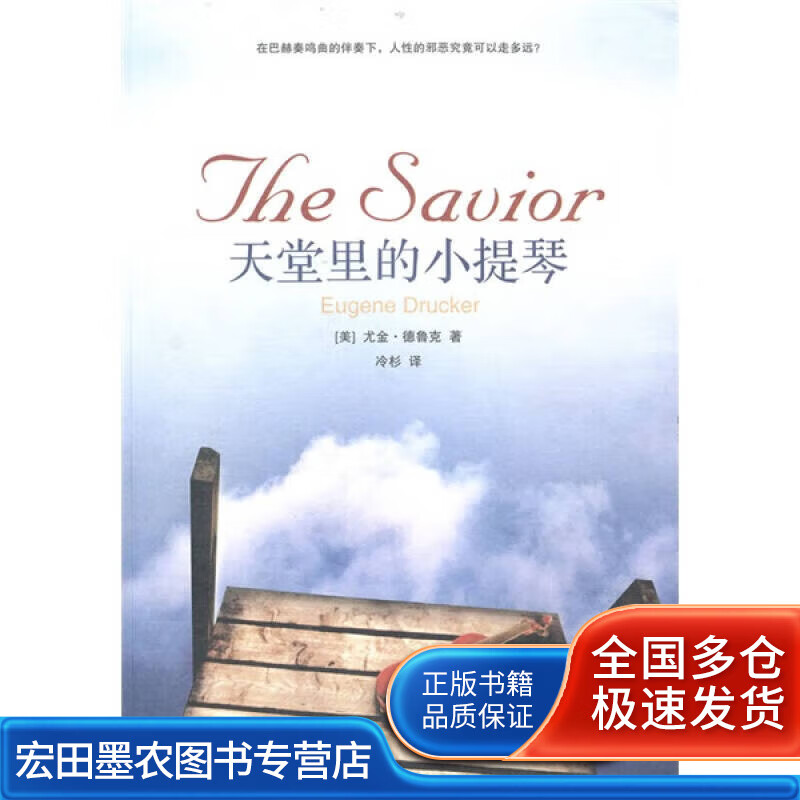 天堂里的小提琴【好书】
