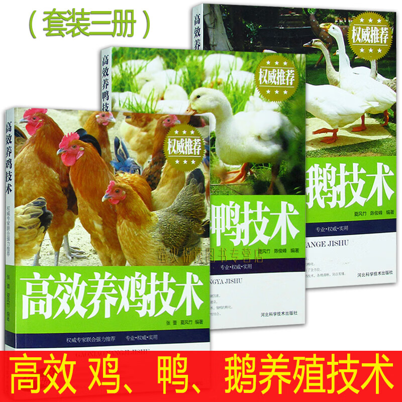 现货 高效鸡鸭鹅养殖技术 养鸡 养鸭 养鹅书籍 新农村家畜家禽饲养管理 高效养鹅技术大全培训指导 疾病预防