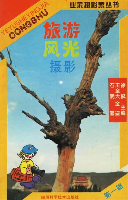 旅游风光摄影 王金大,金鎏,石明 编著