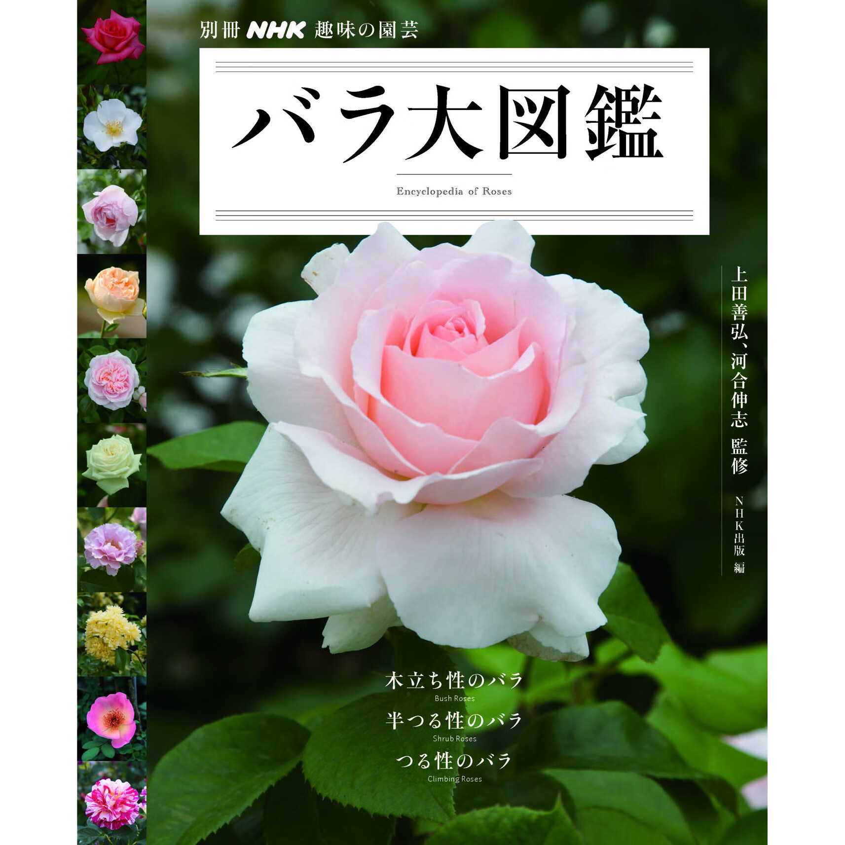 现货日本玫瑰花图鉴书 バラ大図鑑 1000品种花艺园林栽培百科全书