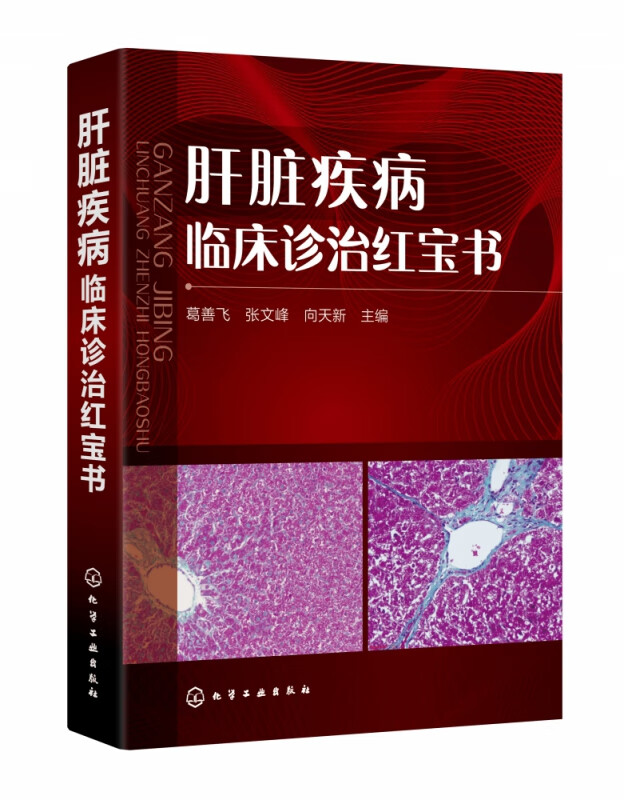 肝脏疾病临床诊治红宝书