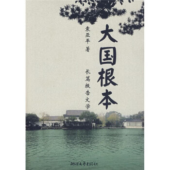 大国根本 袁亚平 著