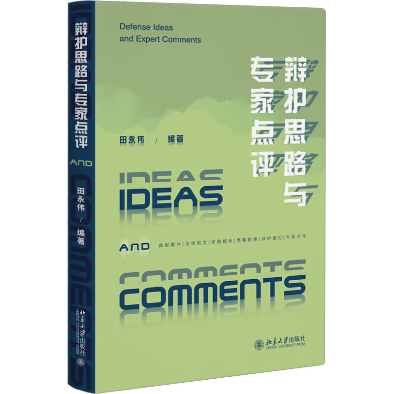辩护思路与专家点评 田永伟 编 书籍 图书