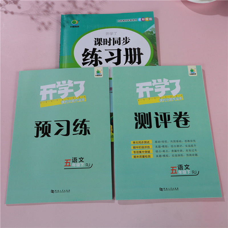 小学课时同步练习册1-2-3-4-5-6年级上下册语文数学英语同步训练 五年级下册 语文+数学-人教版