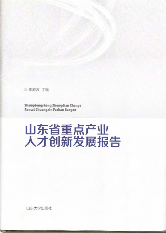 山东省重点产业人才创新发展报告 李海波